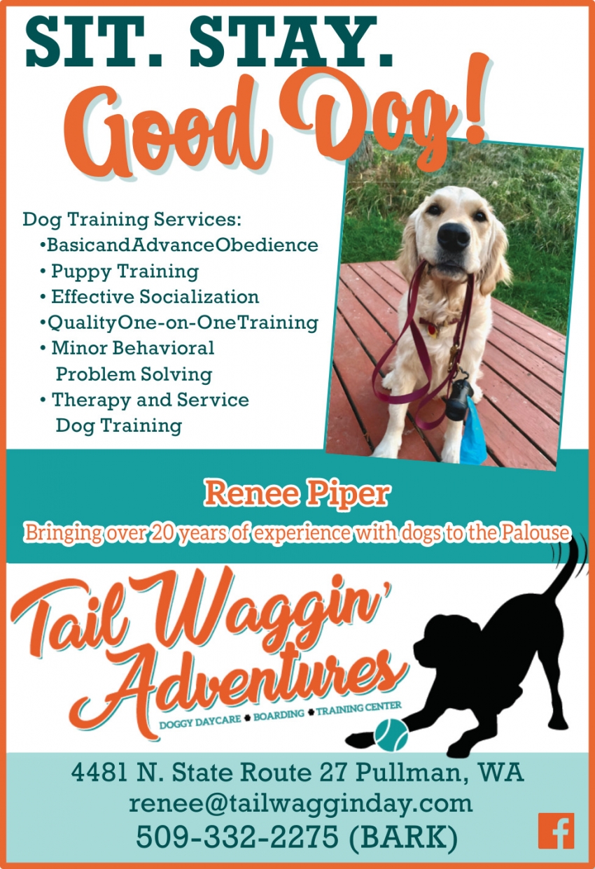 Sit. Stay. Good Dog!, Tail Waggin' Adventures